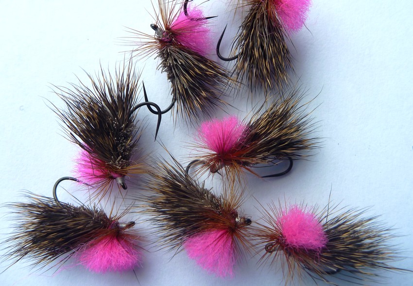 Sedge Tabanas TJC rose – Fly-concept, fly tying, matériaux, accessoires ...